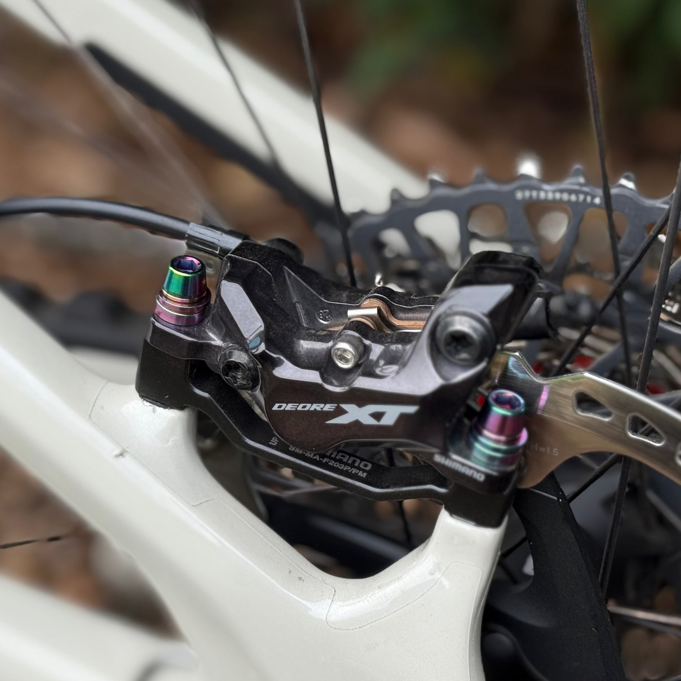 Titanium Brake Caliper Bolts - M6 – Pace Components